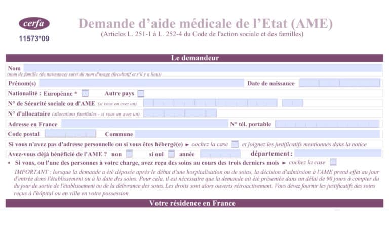 Cerfa 13473*01 : carte de séjour pour une activité économique