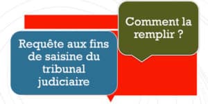CERFA 16042*02 : saisine du tribunal judiciaire ou de proximité